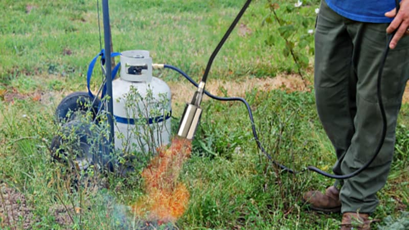 Weed Burner Torch: Working Principle and Usage Scenarios - UWELD